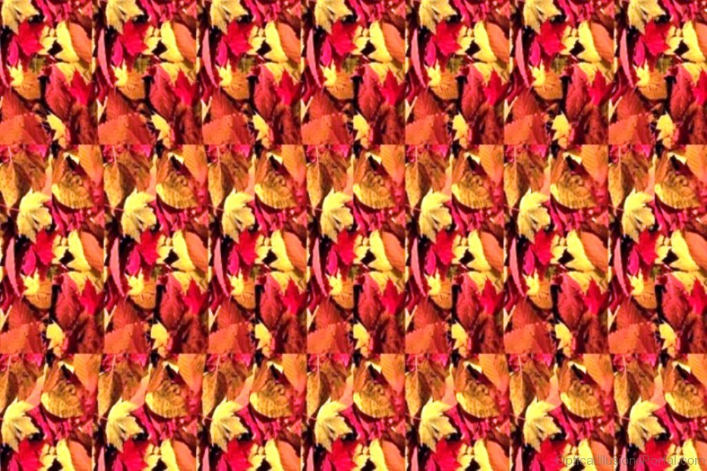 55 Nice Stereogram Illusion 55 Nice Stereogram Illusion