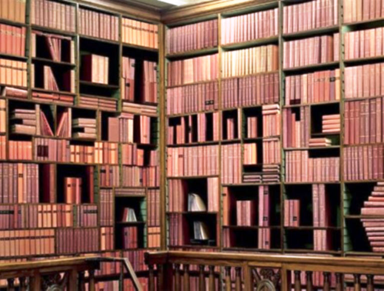 50 Lovely Multiple Meaning Illusions