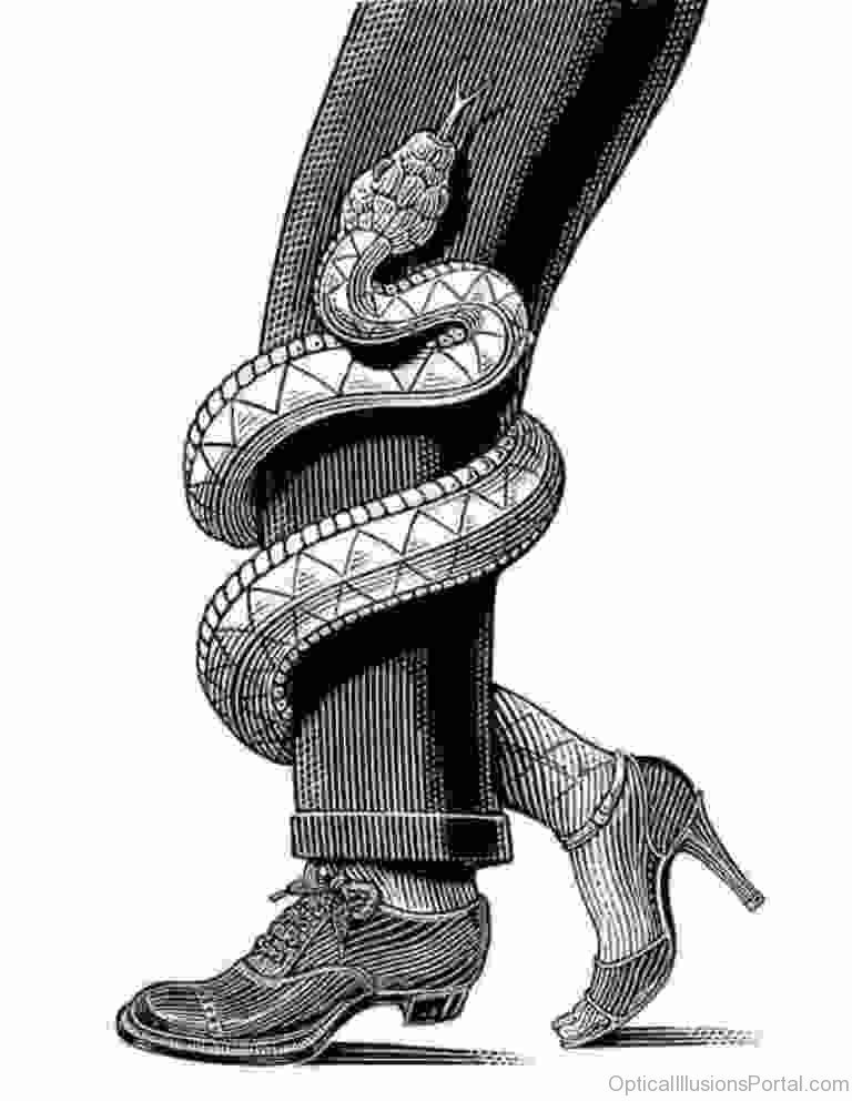 50 Lovely Multiple Meaning Illusions