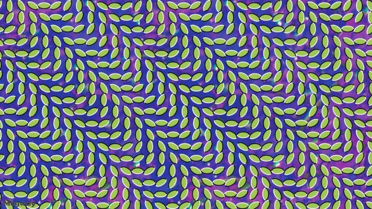 50 Elegant Moving Illusion