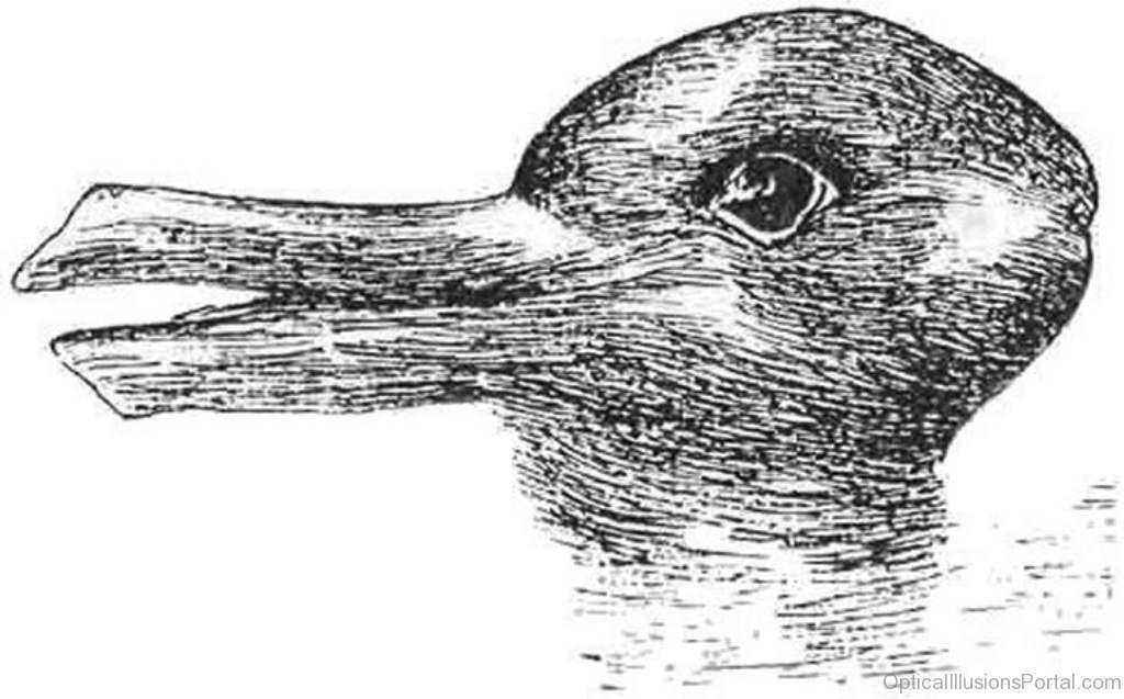 50 Lovely Multiple Meaning Illusions 50 Lovely Multiple Meaning Illusions