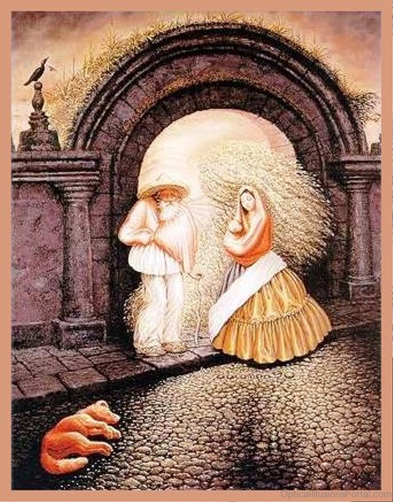 47 Awesome Multiple Meanings Illusion