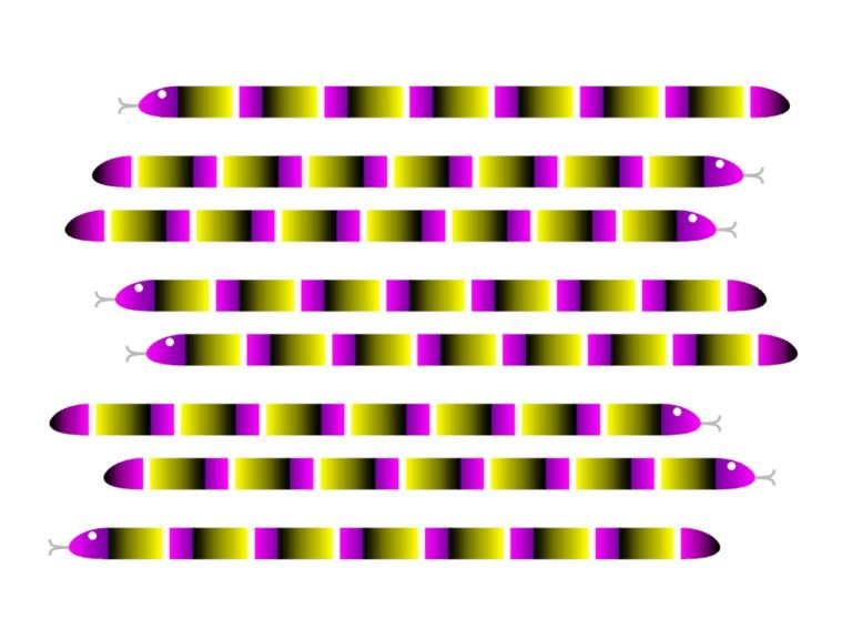 50 Good Moving Illusion