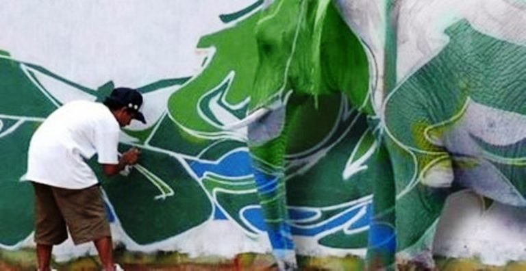 54 Mind Blowing Animal Illusion
