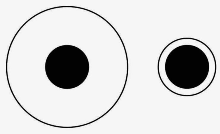 53 Cool Kids Optical Illusion