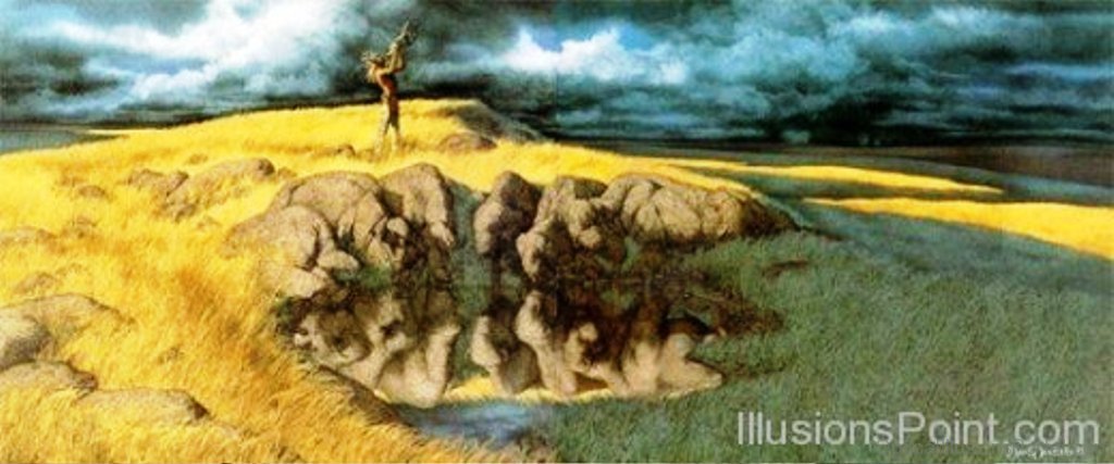 55 Awesome Outdoor Illusion